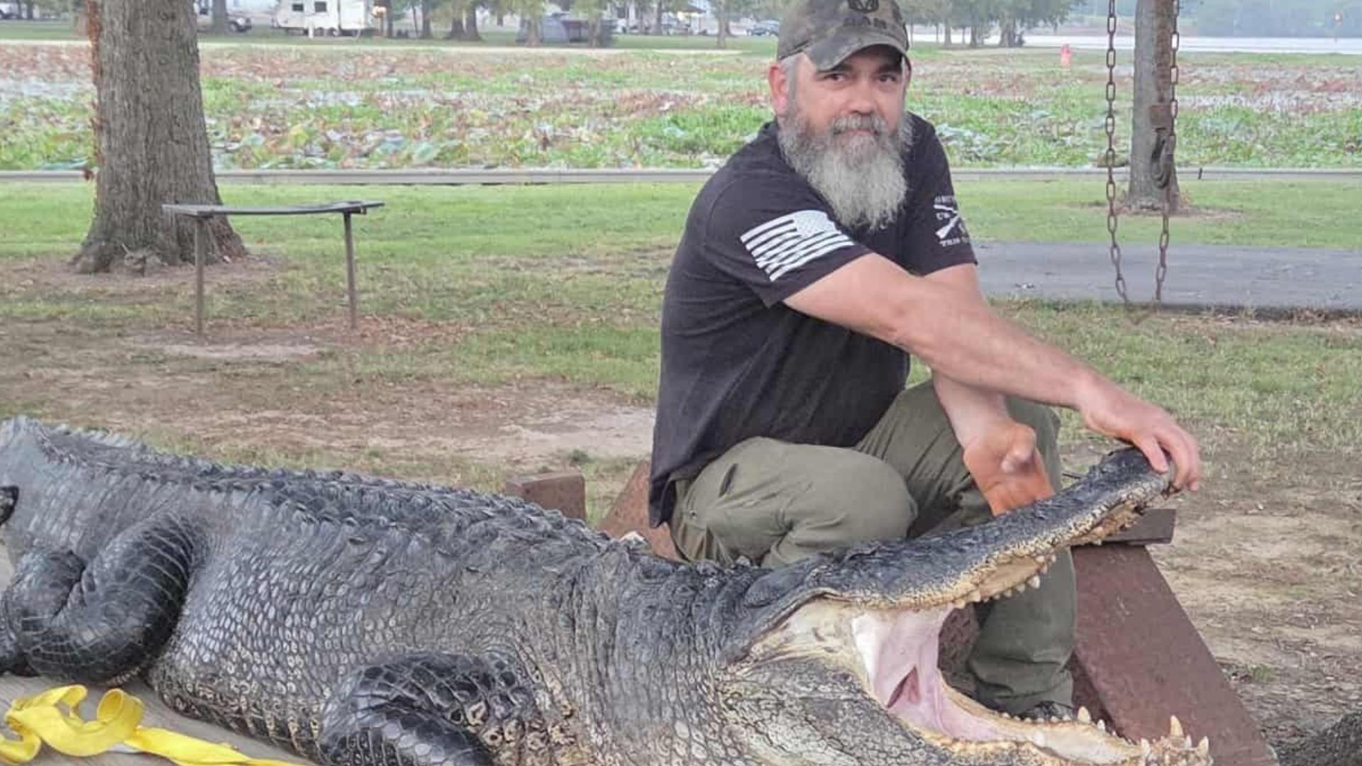 Arkansas hunters set harvest record for alligator season | thv11.com