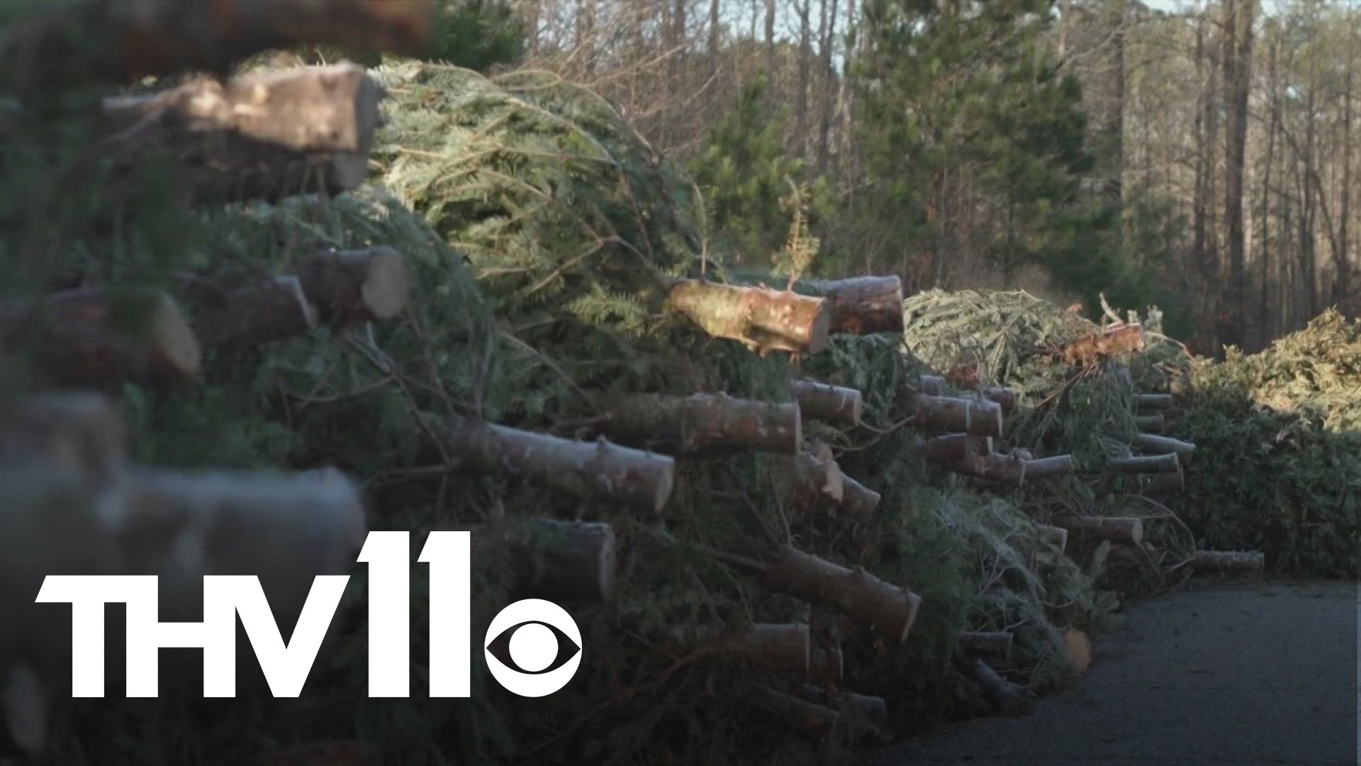 Over 250 pounds of prescription drugs, fentanyl seized from Arkansas ...