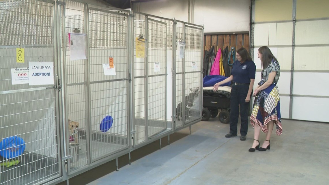 Bryant Animal Control implements program to deter overcrowding | thv11.com