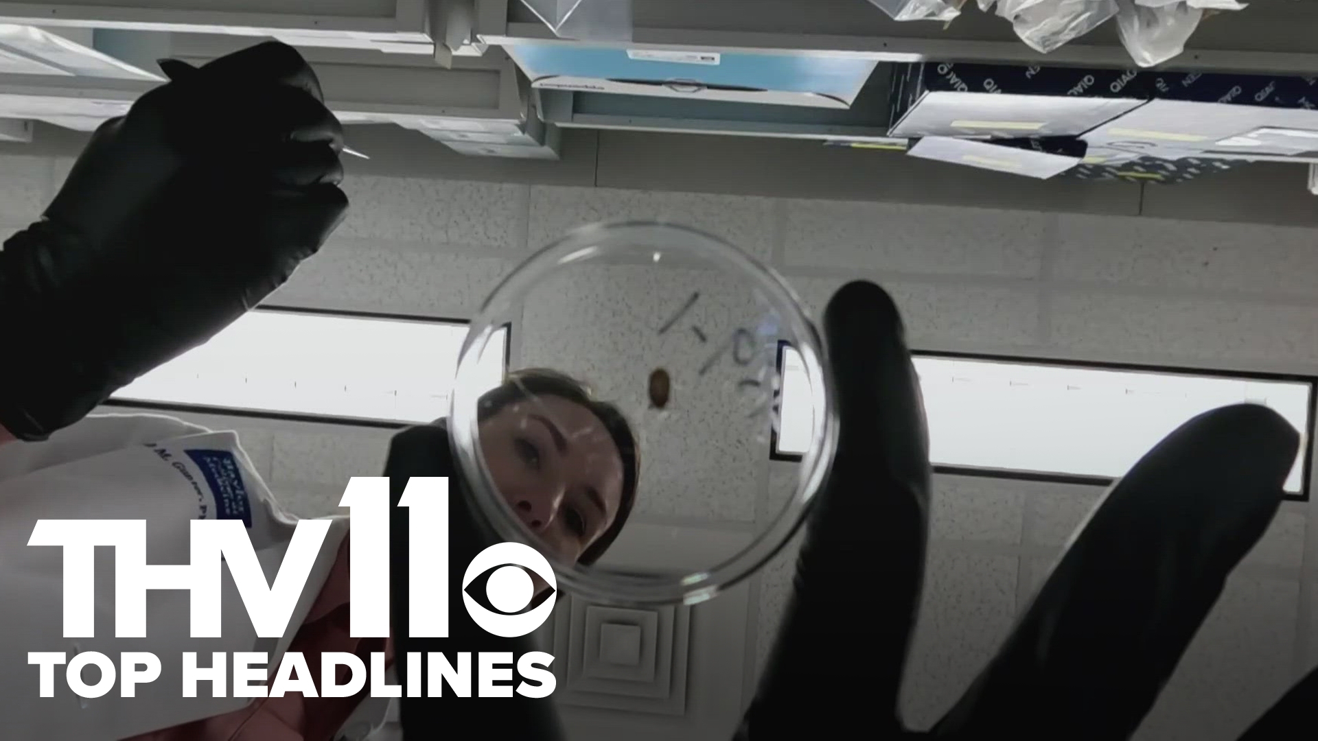 Arkansas's top news stories | June 17, 2024 | thv11.com