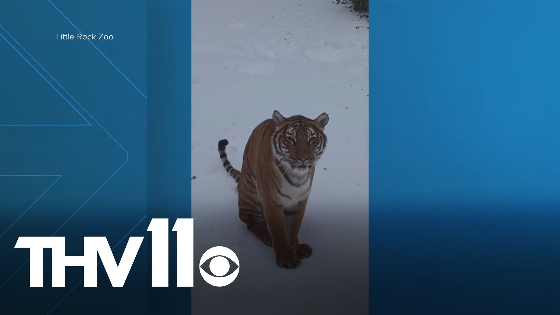 ‘The Late Show with Stephen Colbert' is officially nearing its end ...