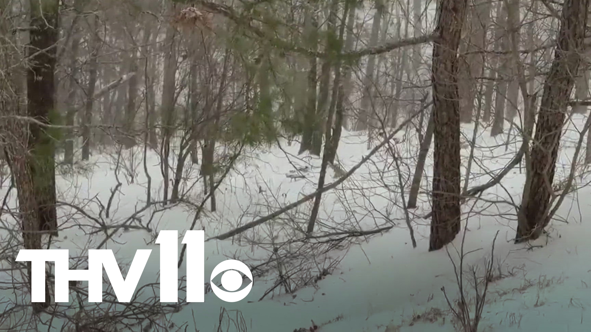 Documentary about Arkansas filmmaker killed by Russian forces in ...