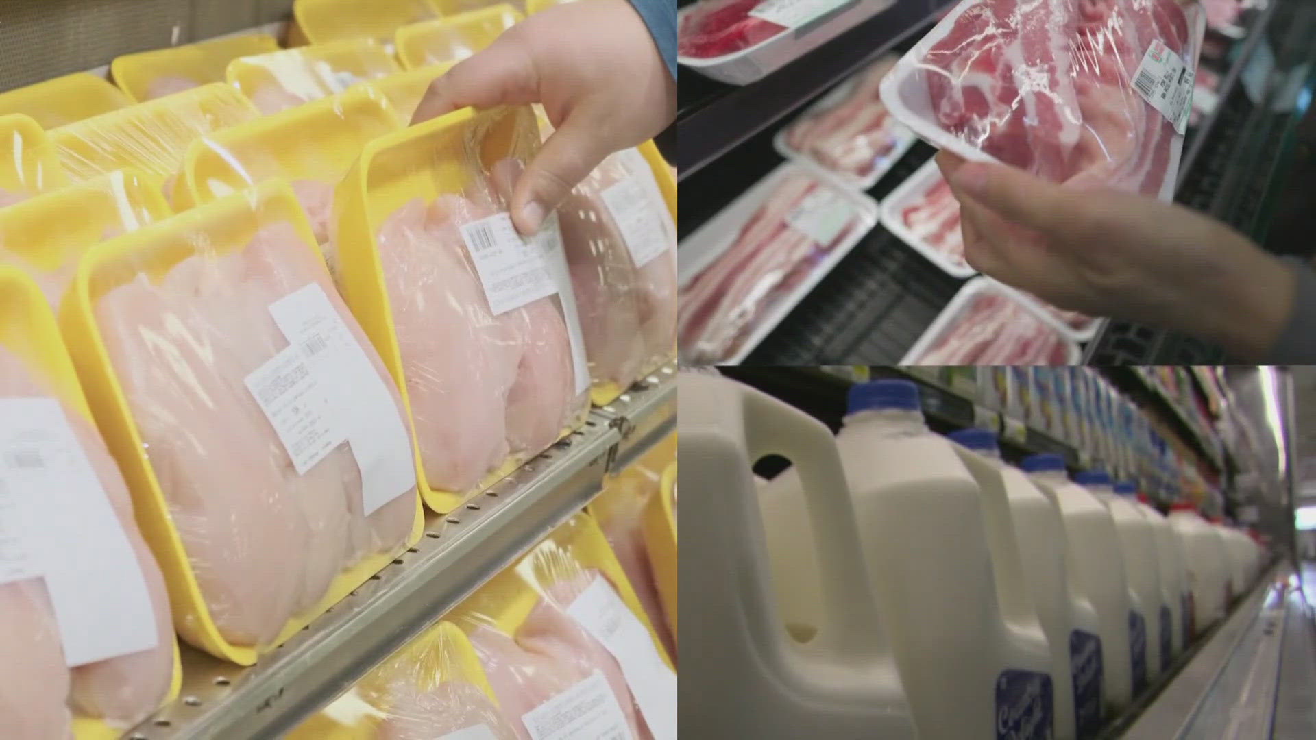 Shop smarter with a Costco Gold Star Membership that comes with a $40 ...