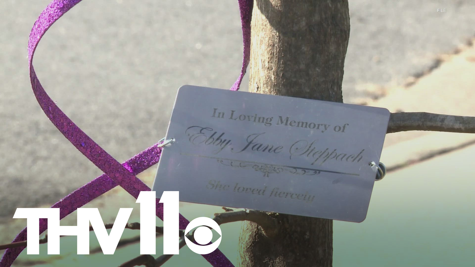 ASP investigating after car crash in Clay County leaves three dead ...