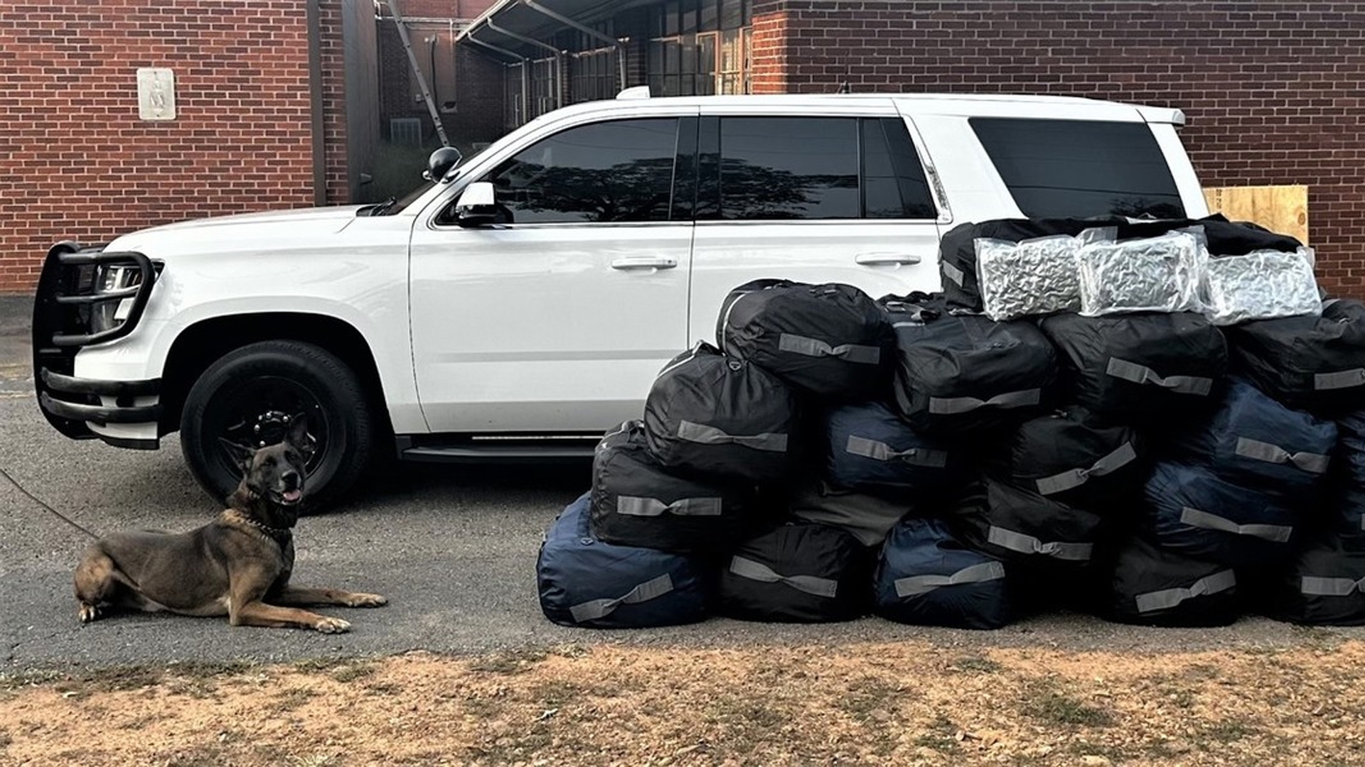 Arkansas State Police seized over 15K lbs of marijuana, $3.3M cash in 2024 | thv11.com
