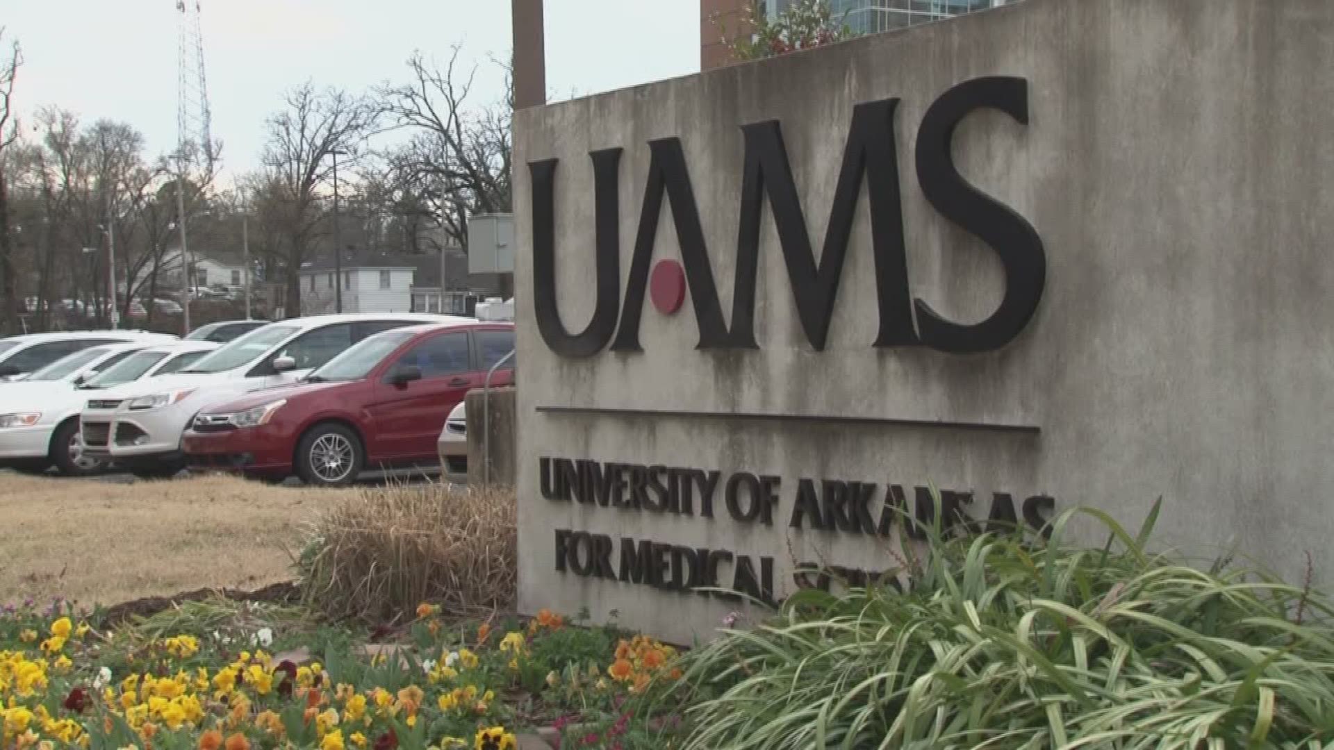 UAMS certified as comprehensive stroke center | thv11.com