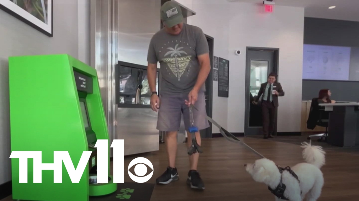 Bank uses ATM-like machine as an 'automated treat machine' for dogs ...