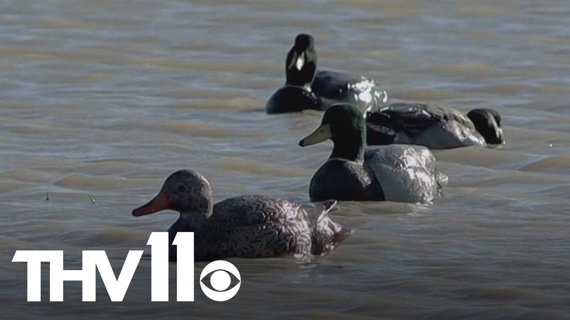 Duck numbers are down across North America, but Arkansas is still the ...