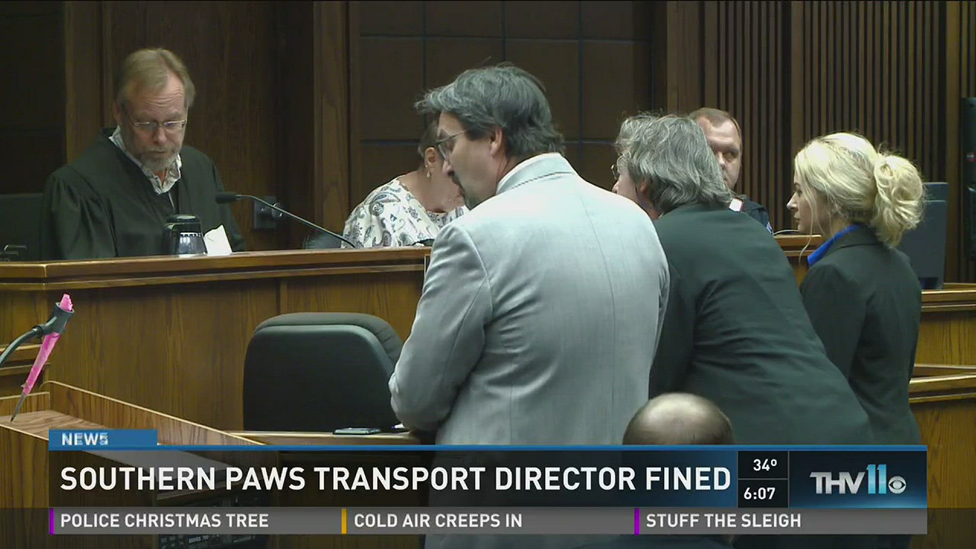 Southern Paws Transport director fined $1,200, on probation for one ...