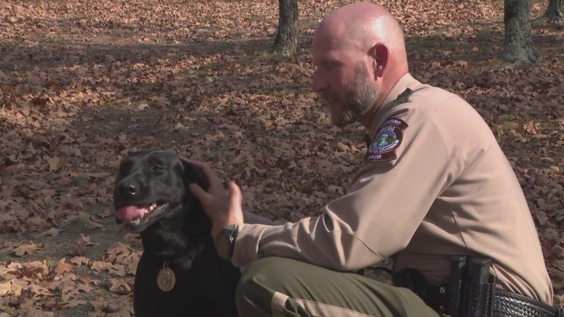 Arkansas Game and Fish K9 finds lost hunter in woods after tracking scent | thv11.com