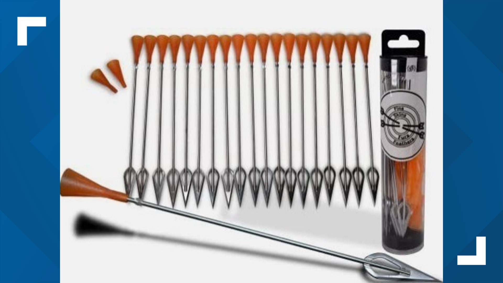 Bryant officials investigate cat shot with blowgun dart | thv11.com