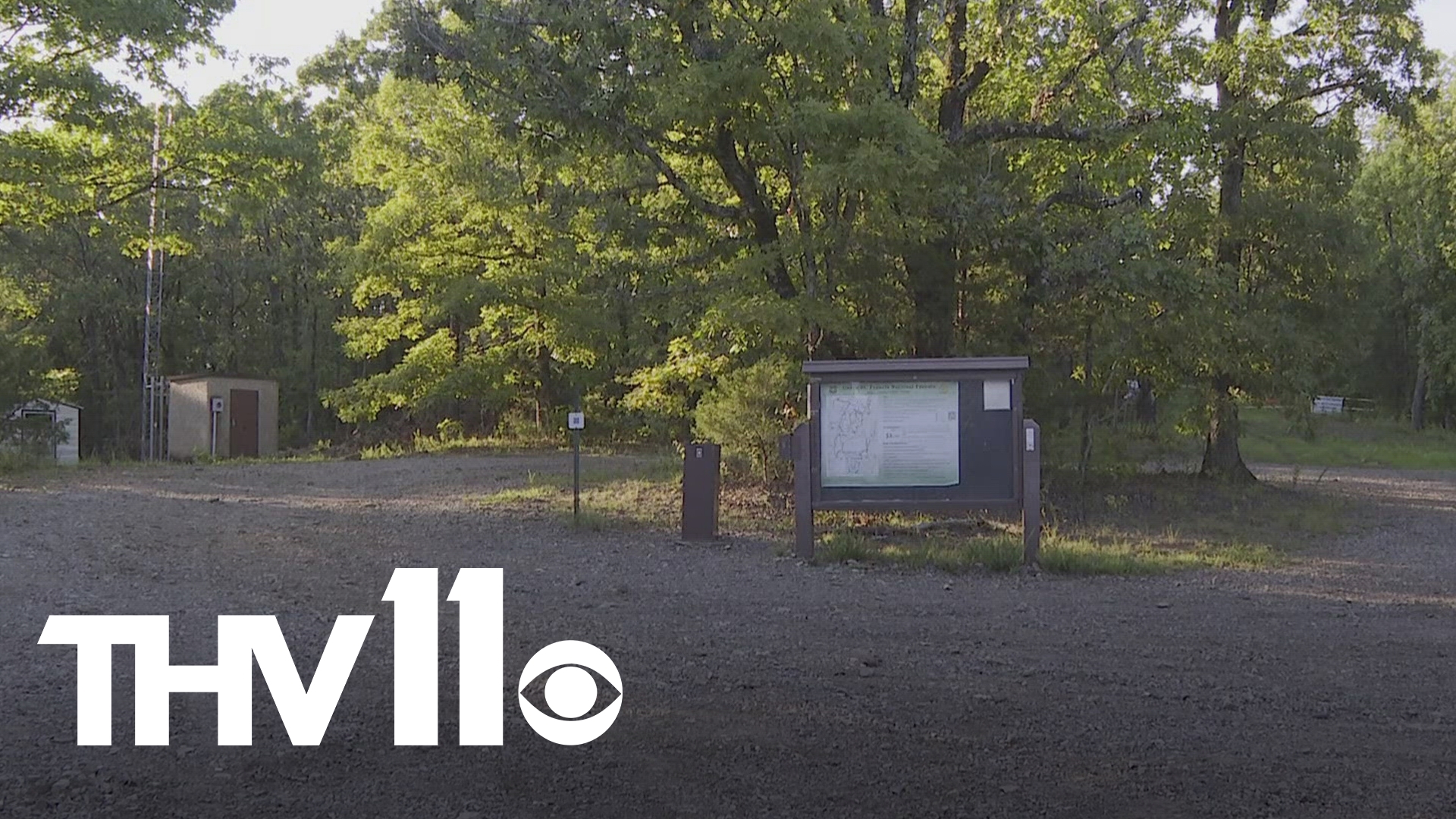 Man hospitalized after bear attack in Rural Arkansas | thv11.com