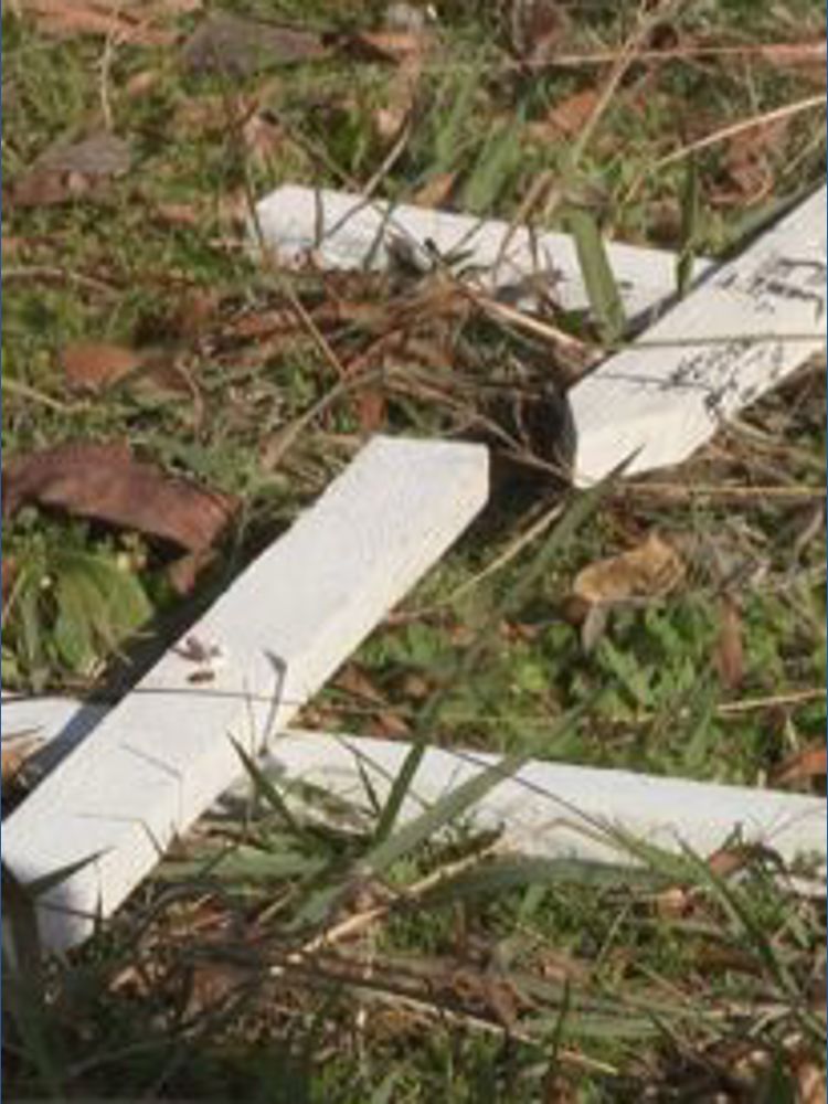 What to know about DNA evidence, alleged confession in Devil's Den ...