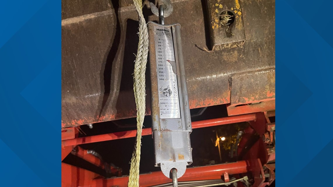 Massive 6-foot-long paddlefish found on Beaver Lake, AGFC says | thv11.com