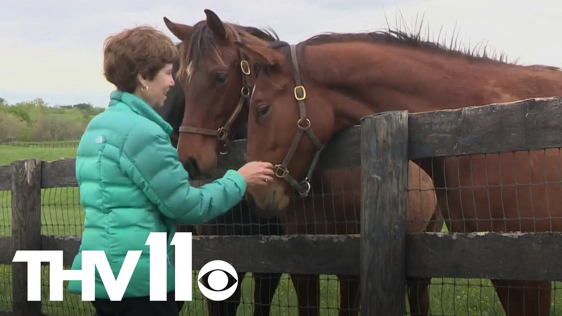 Meet Amy Moore, the unlikely Kentucky Derby contender | thv11.com