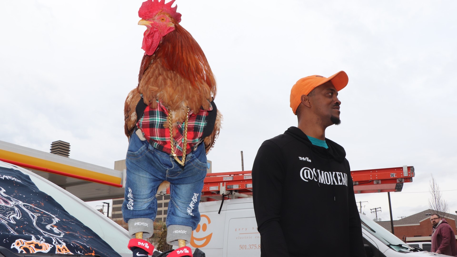 Rooster going viral in Arkansas for a good cause | thv11.com