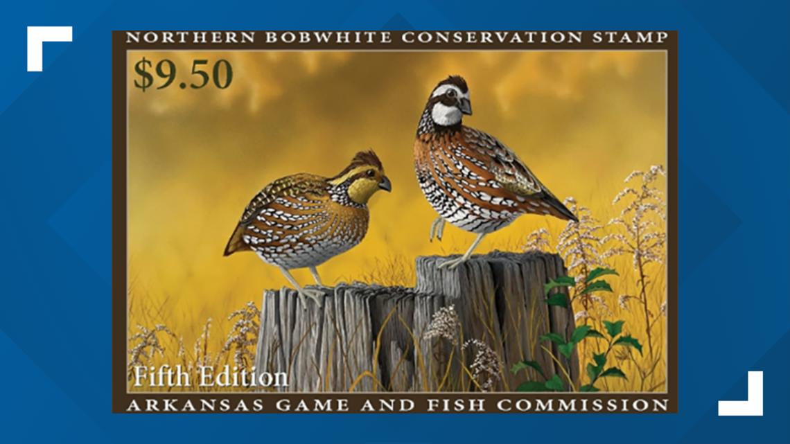 Submissions open for Arkansas quail, turkey stamp art competition ...