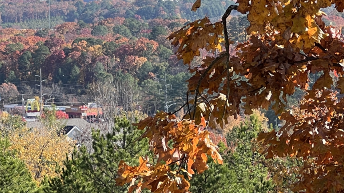 Could the recent droughts impact fall colors in Arkansas? | thv11.com