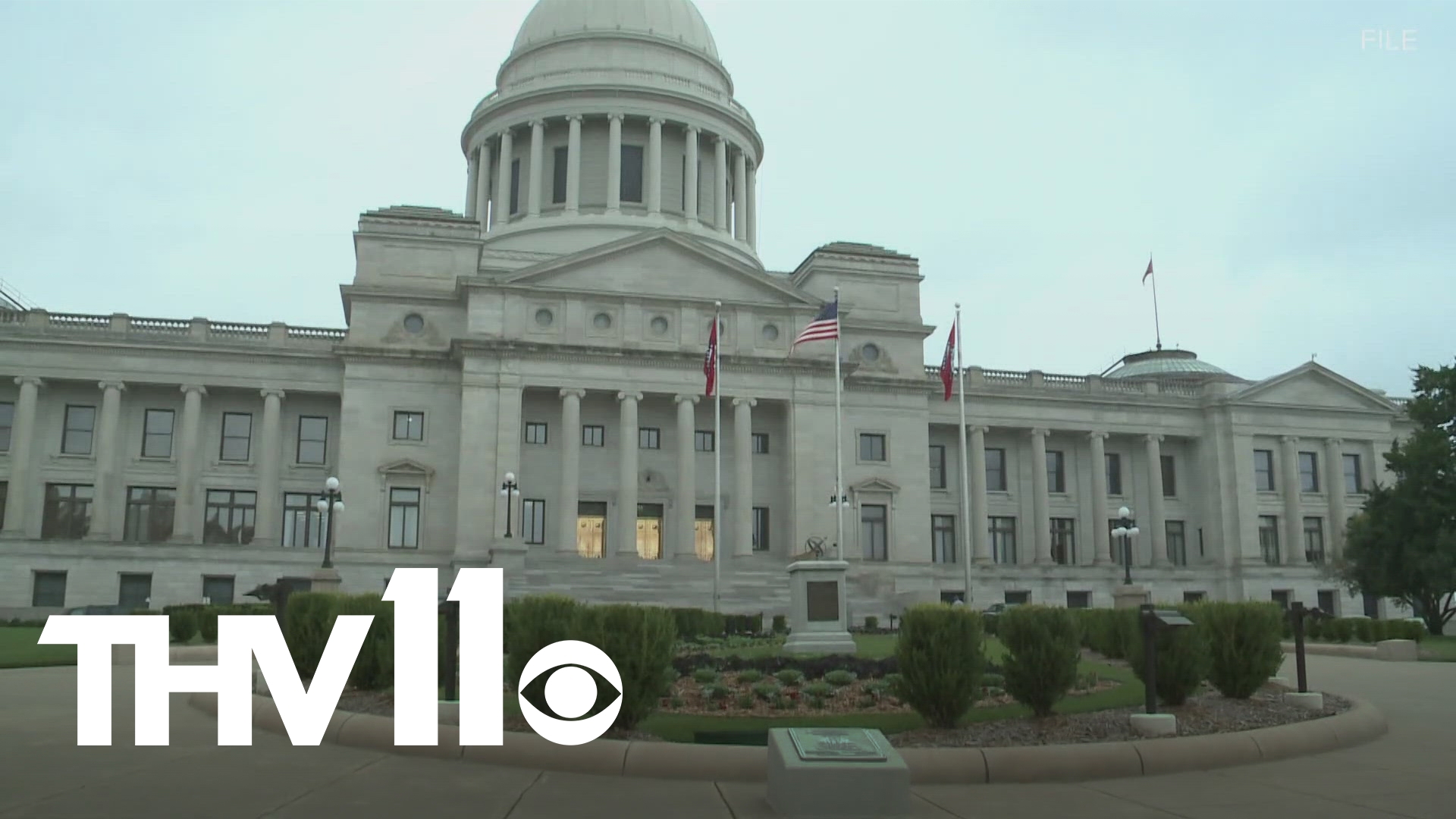 Here's what the Arkansas Supreme Court decision on citizen-led ...