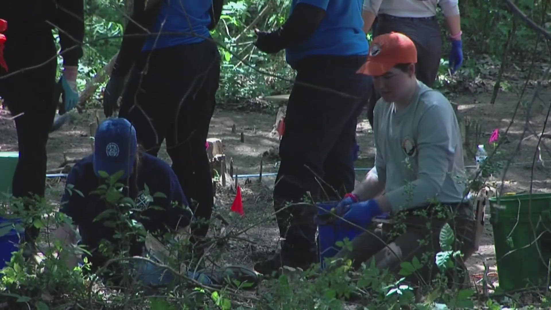 Human remains of 3 children found in Memphis | Police and FBI ...