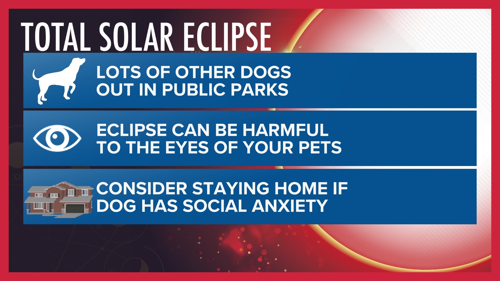 How to prepare pets for the total solar eclipse | thv11.com