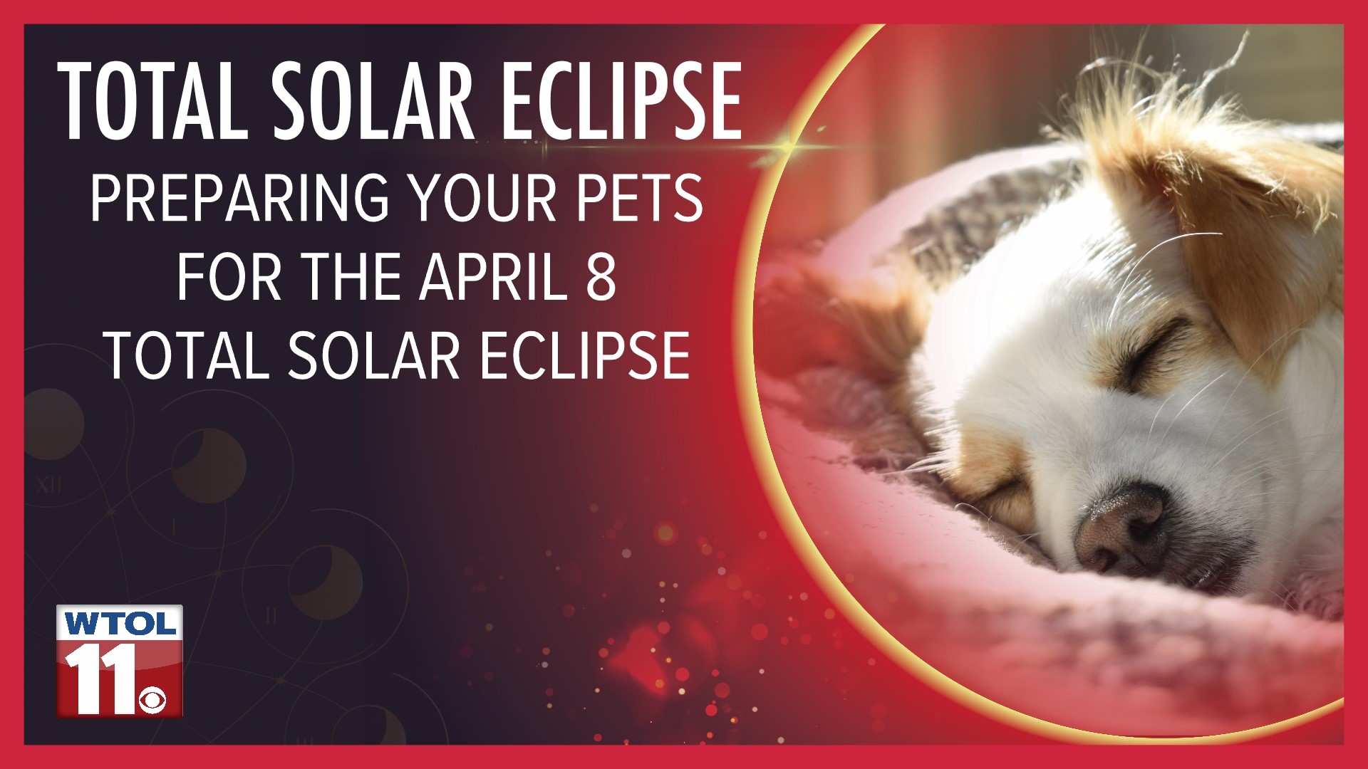 How to prepare pets for the total solar eclipse | thv11.com