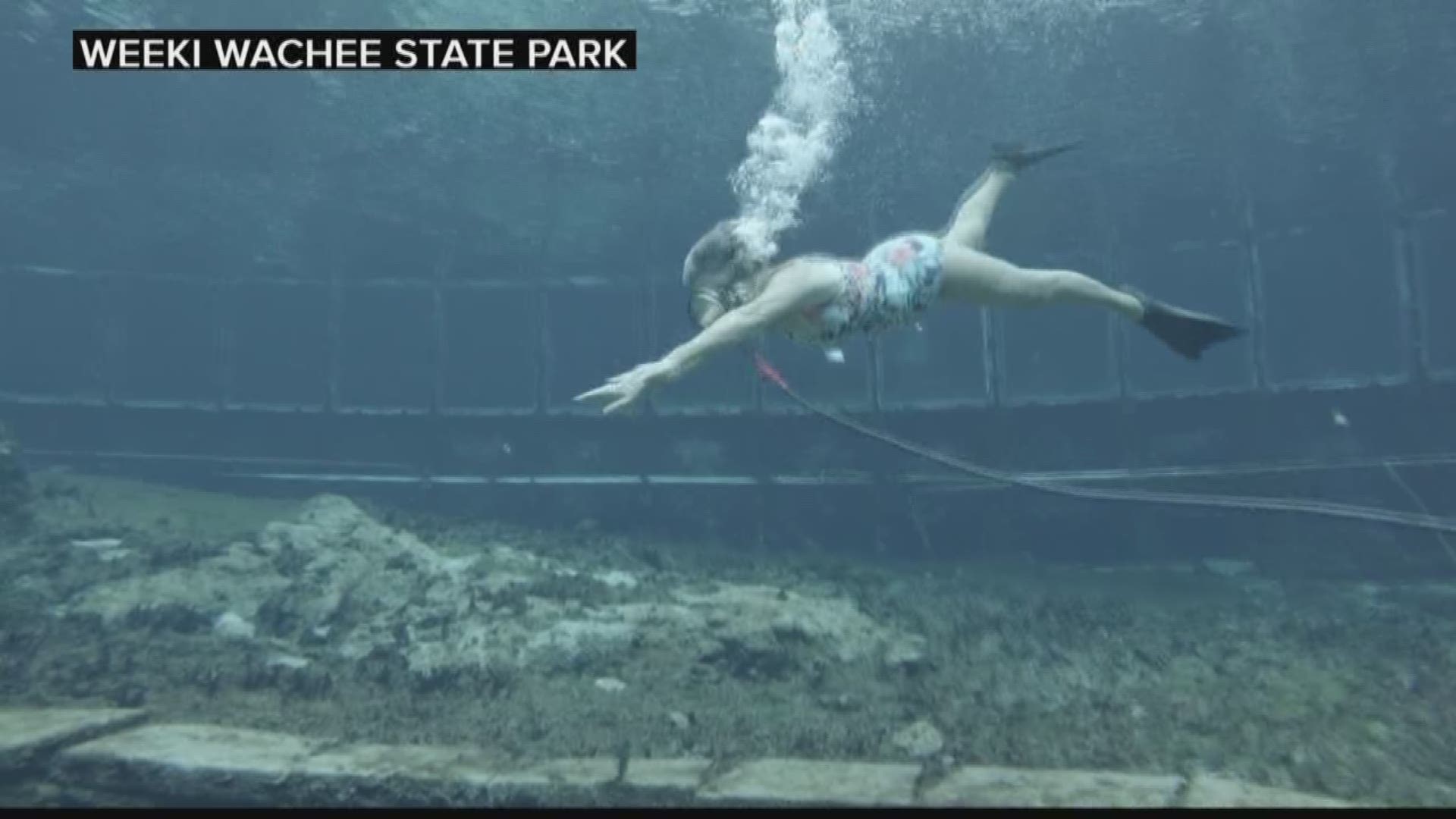 Still a mermaid, 60 years later | thv11.com