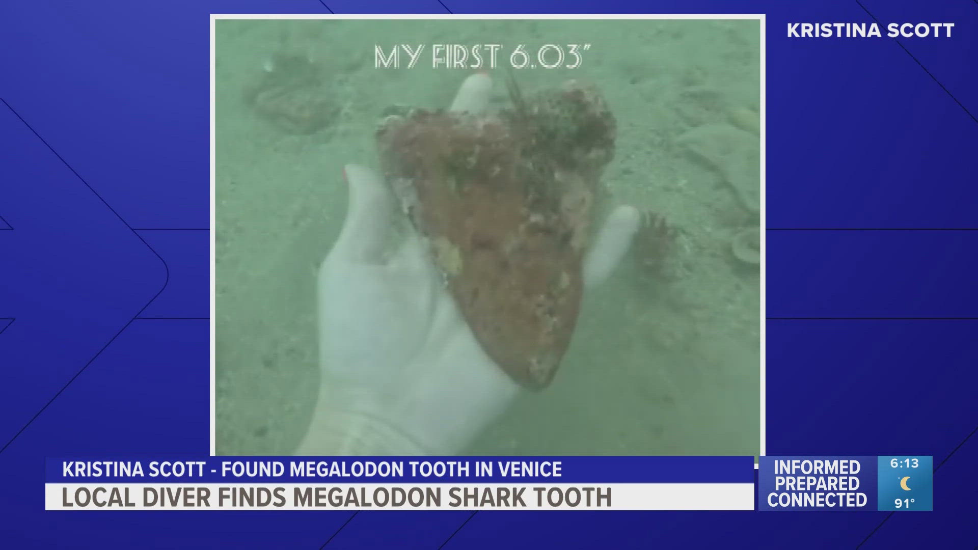 Diver finds megalodon tooth off Florida's Gulf Coast | thv11.com
