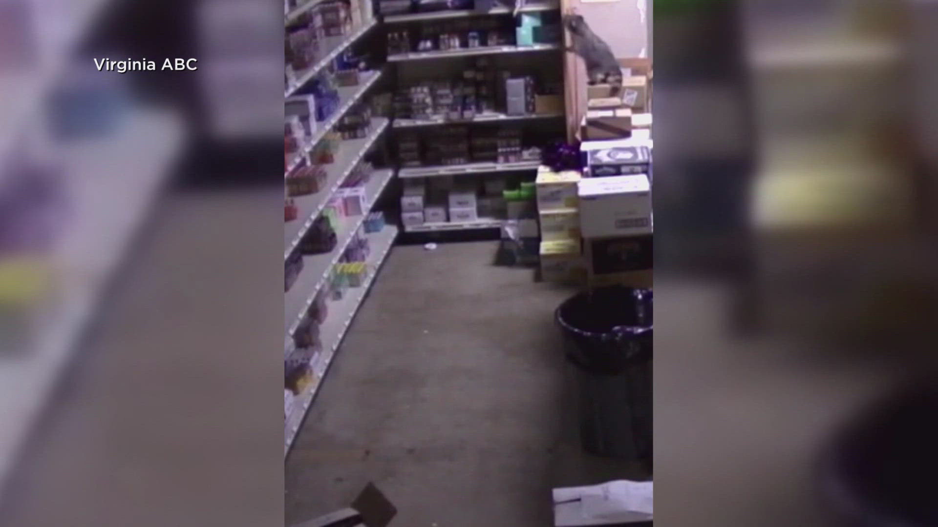 'Trashed' panda sensation leads to 'Great Raccoon Hunt' in Ashland ...