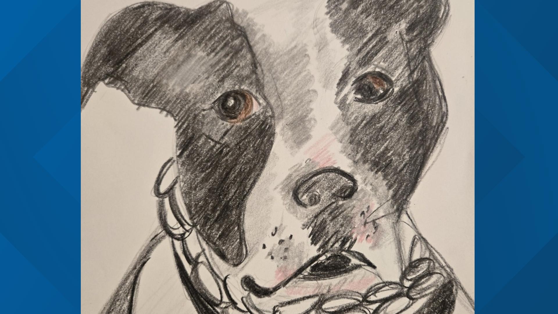 Elmwood animal shelter raises thousands with 'Poorly Drawn Pet ...