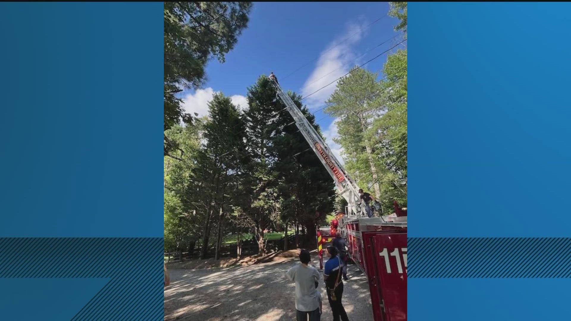 Firefighters rescue 6-year-old from 60-foot tree | thv11.com
